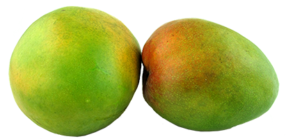 KENT MANGO | Truong Enterprises