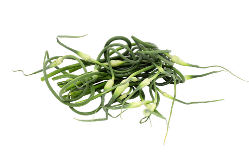 GARLIC STEM | Truong Enterprises