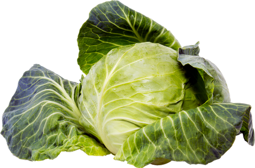 CABBAGE (BOX/BAG) | Truong Enterprises