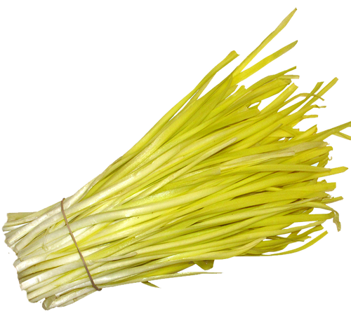 YELLOW CHIVE | Truong Enterprises