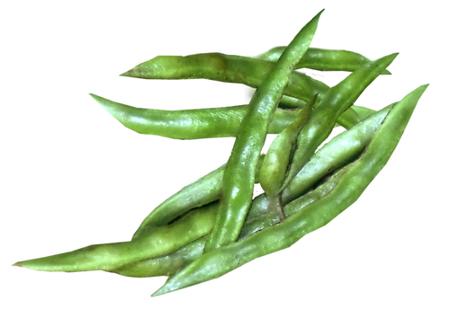 VALOR BEAN (LONG) | Truong Enterprises