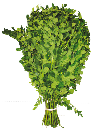 MALONGAI LEAVES | Truong Enterprises