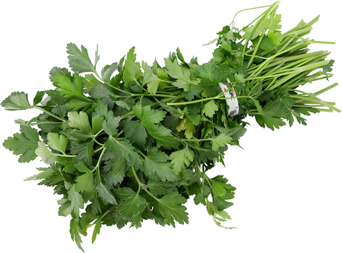 PLAIN PARSLEY | Truong Enterprises
