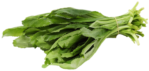 CULANTRO | Truong Enterprises