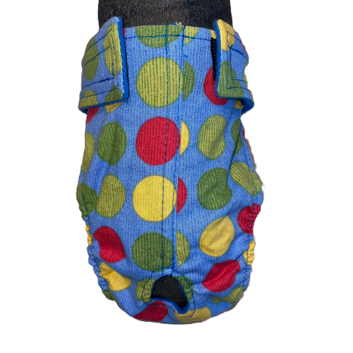 Small and Small Plus Dignity Drawers (Panties/Britches) (1) | Welcome!