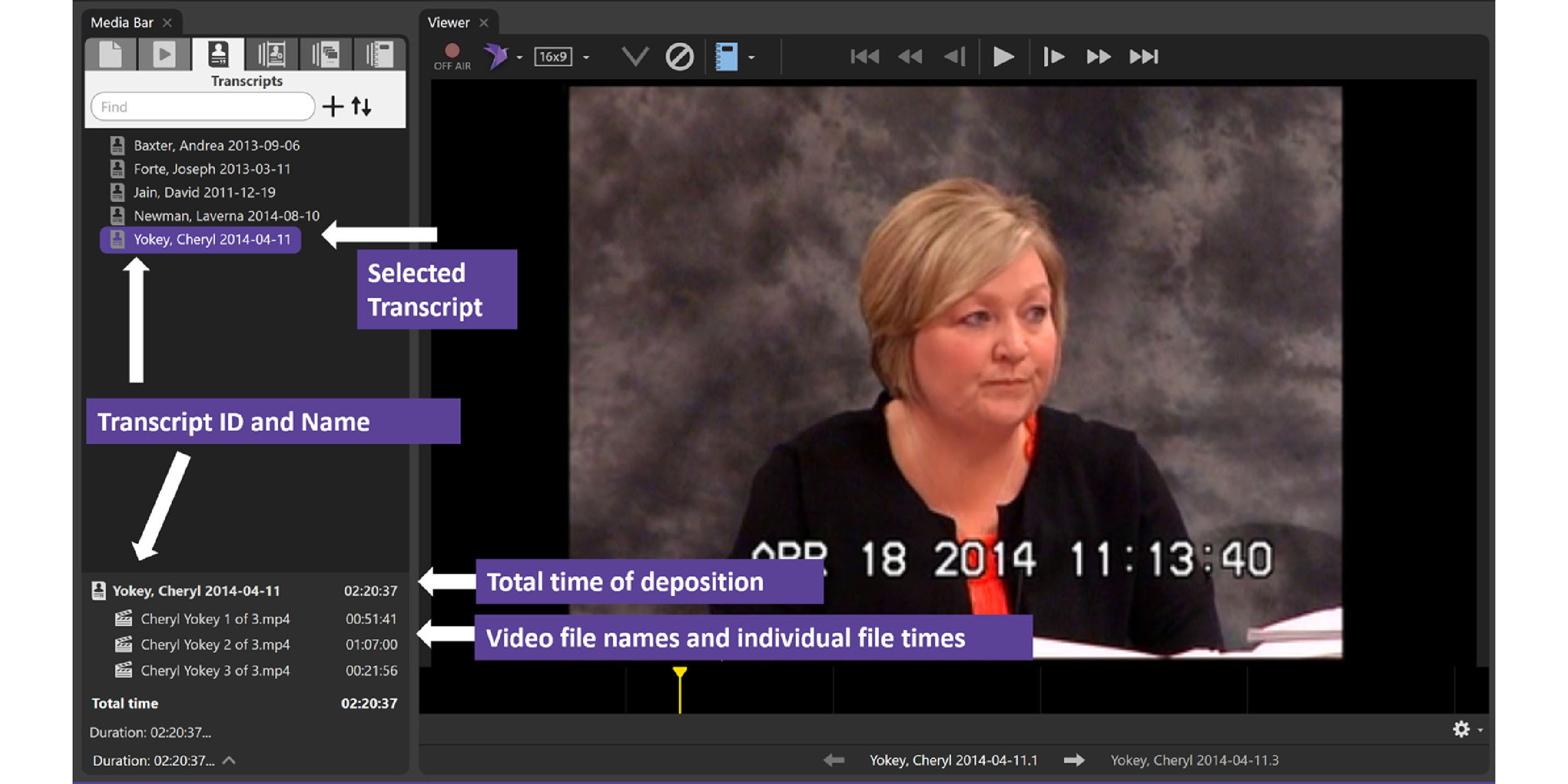 Understanding Transcripts