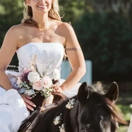 Gallery | Rayshell Ranch, LLC