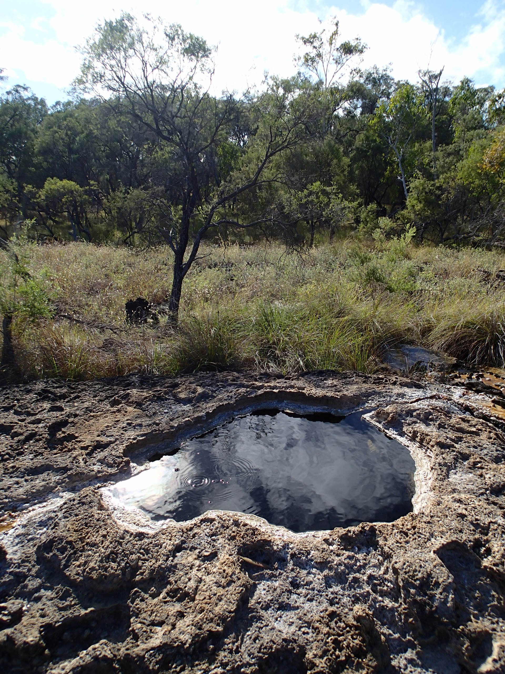 Ewamian Aboriginal Corporation | Gallery