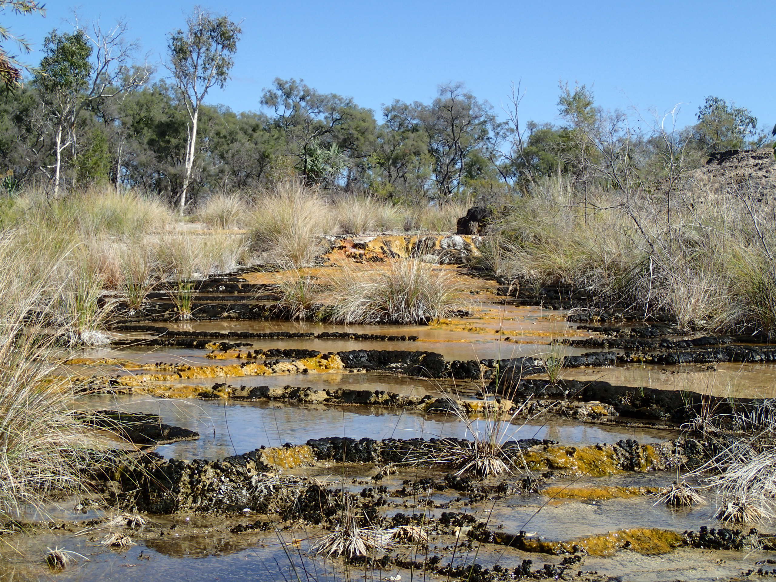 Ewamian Aboriginal Corporation | Gallery