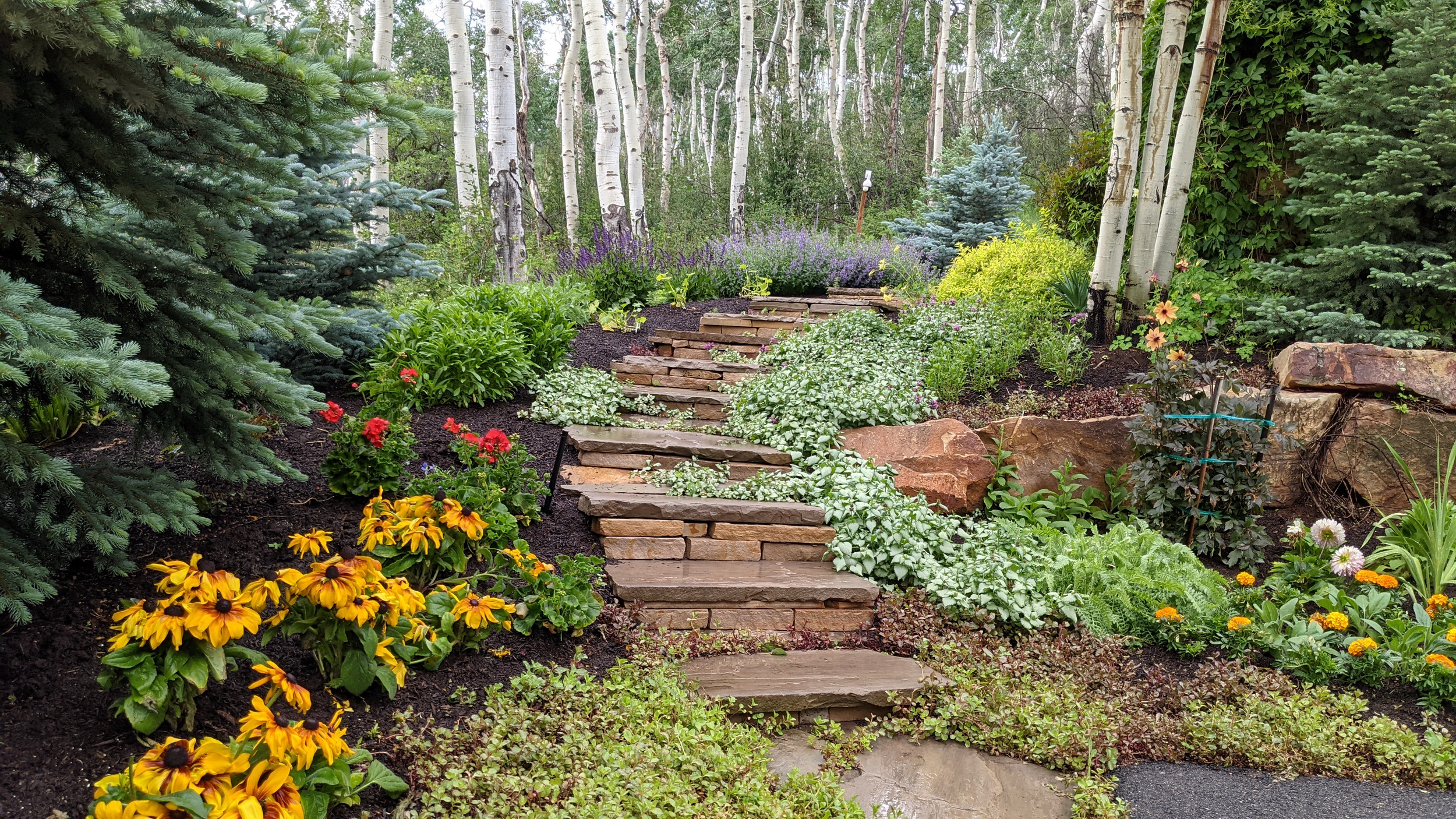 Build | Van Grow Landscaping