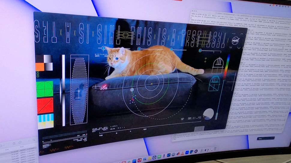 Nasa Laser Beams Adorable Cat Video To Earth From 19 Million Miles Away