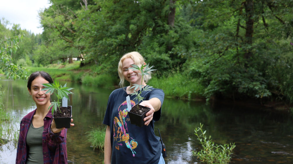 General Discussion | Sun-Clone