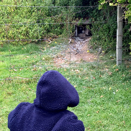 Environmental Education | Tamar NRM