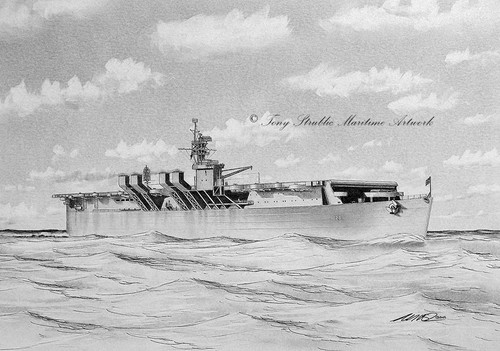 USS Princeton | Tony Strublic Art