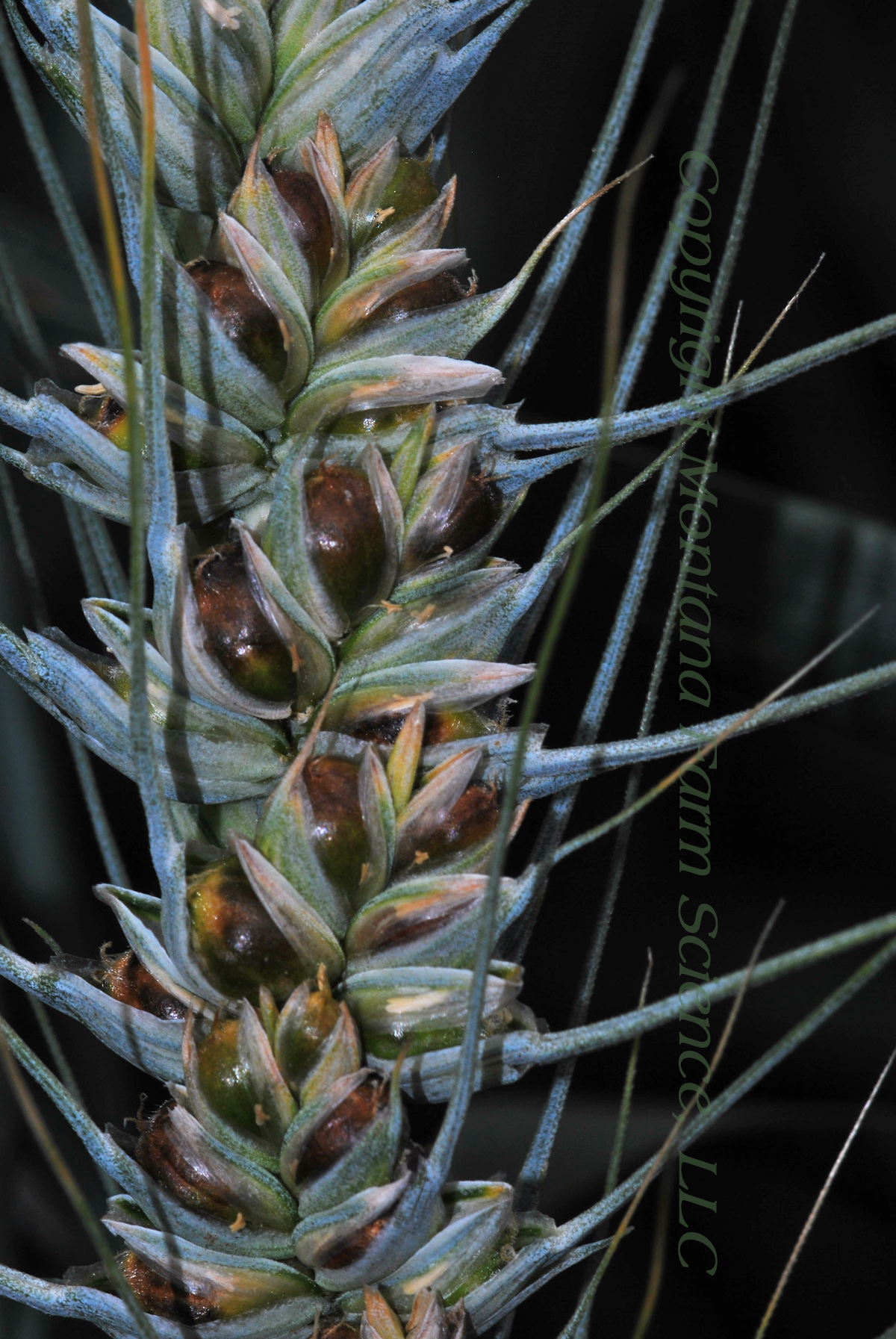 Products & Services | home