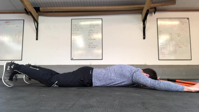 Shoulder Mobility - Progression