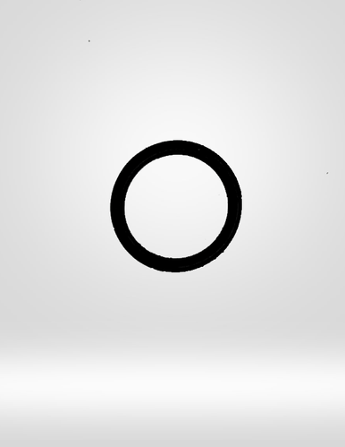 Permeate Port O-Ring | EWP USA