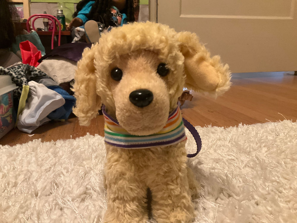 All my AG pets!! | agnews