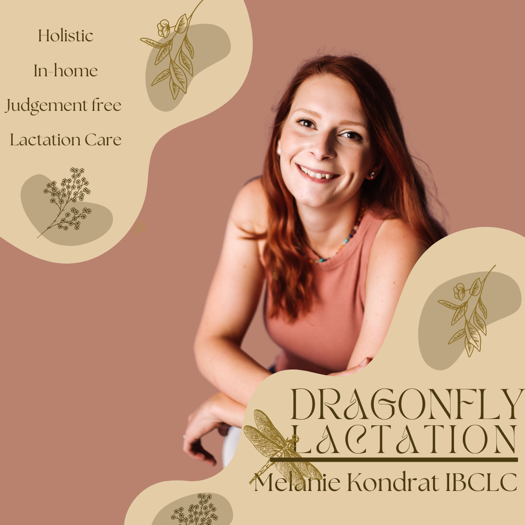 Lactation Services | Dragonfly Lactation Lactation Services | Dragonfly Lactation