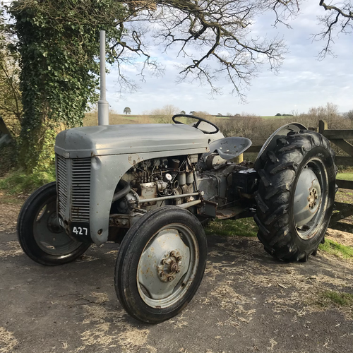 Ferguson TEF 20 | Tamar Vintage