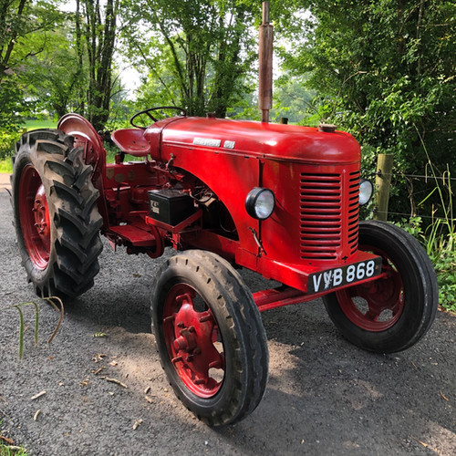 David Brown 25D | Tamar Vintage