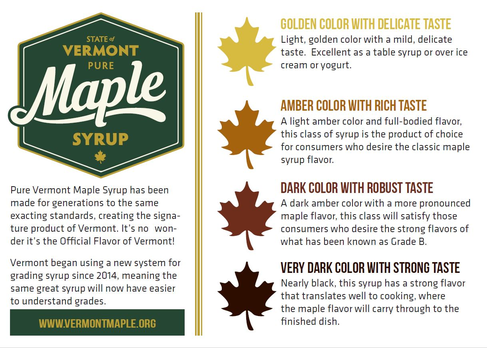 All You Ever Wanted to Know about Maple Syrup