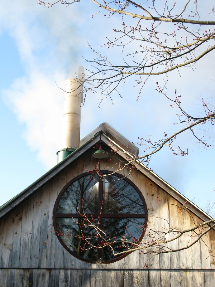 All You Ever Wanted to Know about Maple Syrup