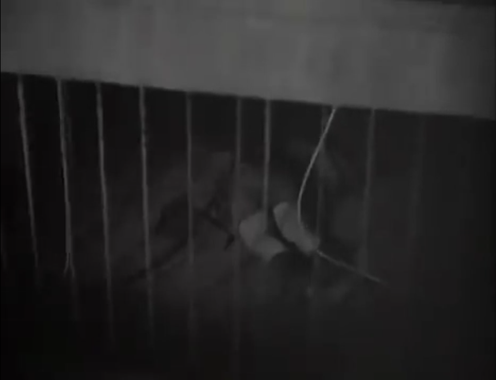 Batman (1943) Elevator Scene