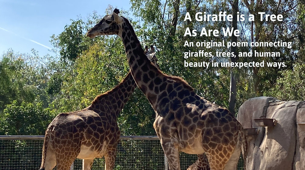 An Original Poem: A Giraffe is a Tree as Are We