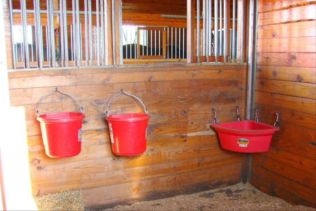 Photo Gallery | River Road Riding Club