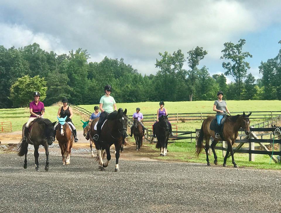 Photo Gallery | River Road Riding Club