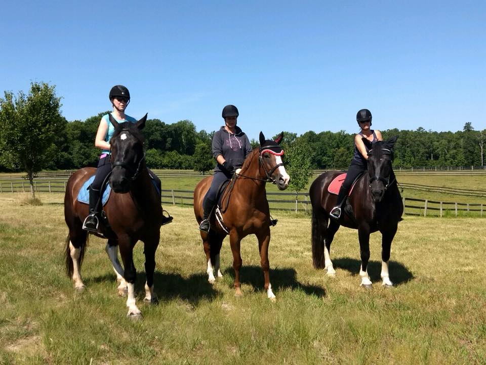 Photo Gallery | River Road Riding Club