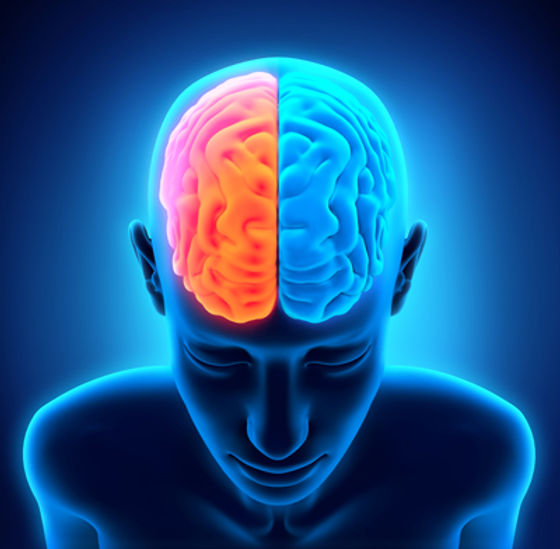 How our brain remembers?