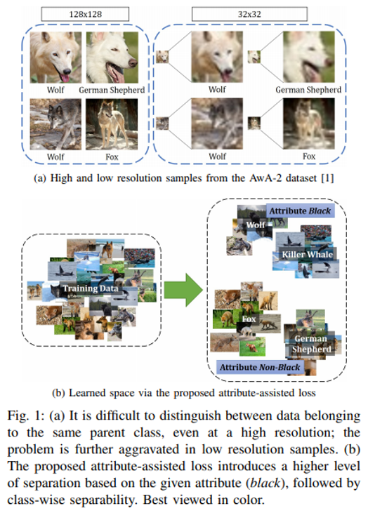 Better low-resolution image classification using attributes