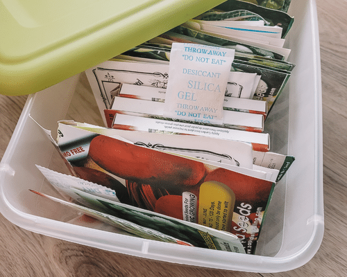 How to Store Vegetable Seeds