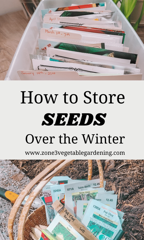 How to Store Vegetable Seeds