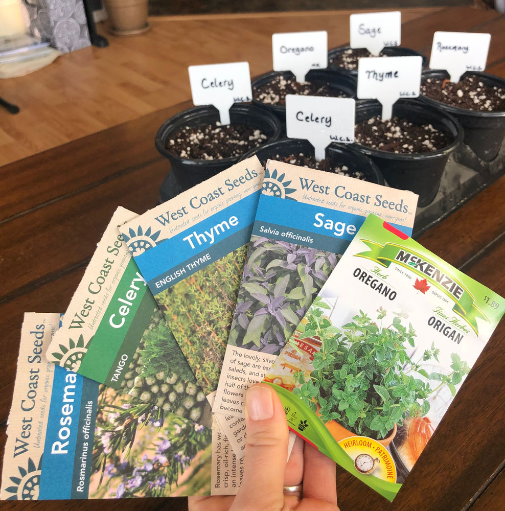 When to Start Seeds Indoors - Free Printable Seeding Guide