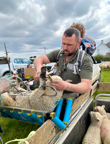 Mens BBF polo | Back British Farming