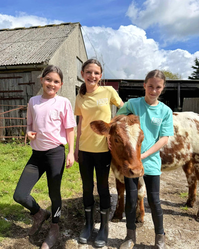 Summer Haze Children's Organic T-shirt | Back British Farming