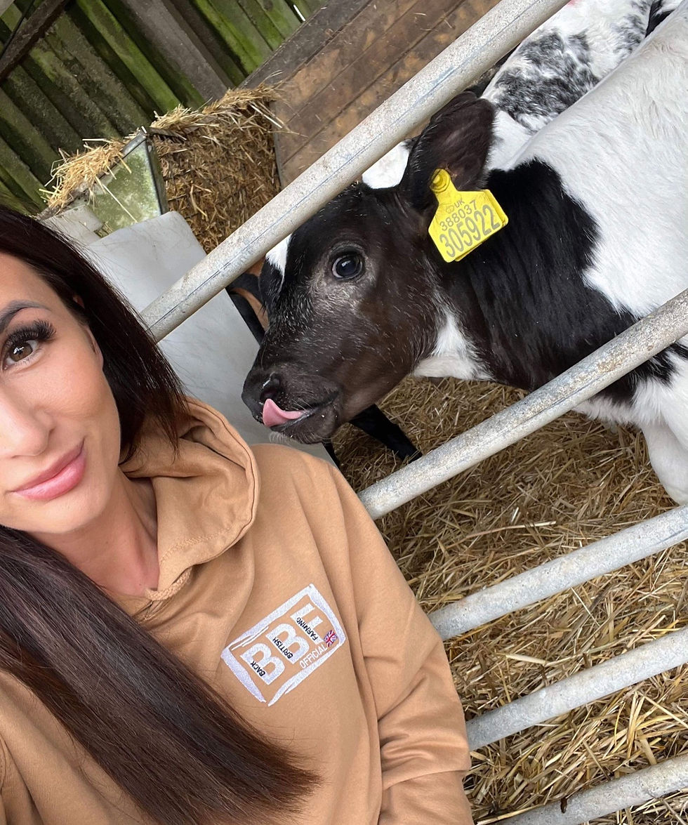 Bbf Back British Farming