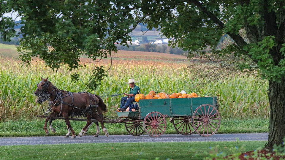Blog | Best of Ohio's Amish Country