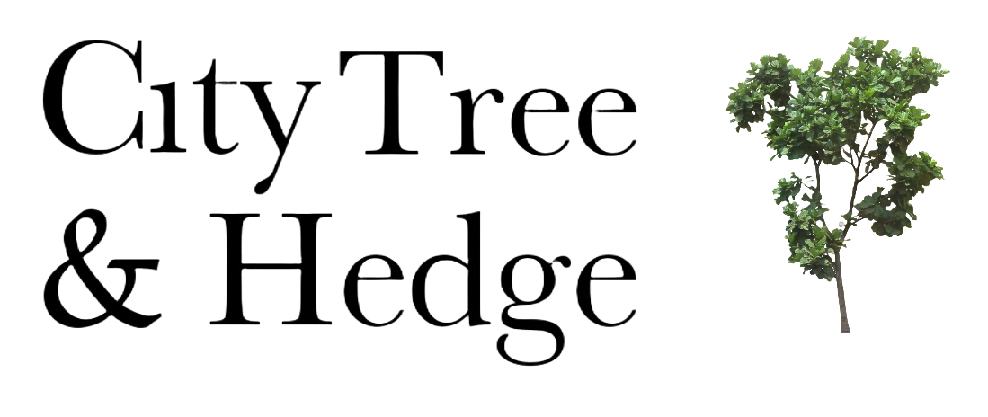 Gallery | City Tree & Hedge