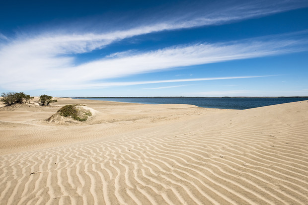 ECOSISTEMAS DE BAJA CALIFORNIA