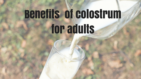 Colostrum for adults