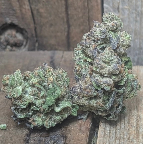 White Cherry Gelato Flower | ABC HEMET