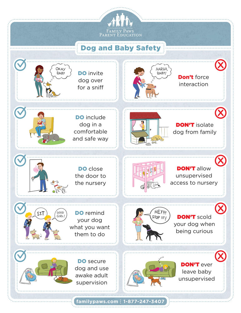 Baby & Toddler Safety Sheet