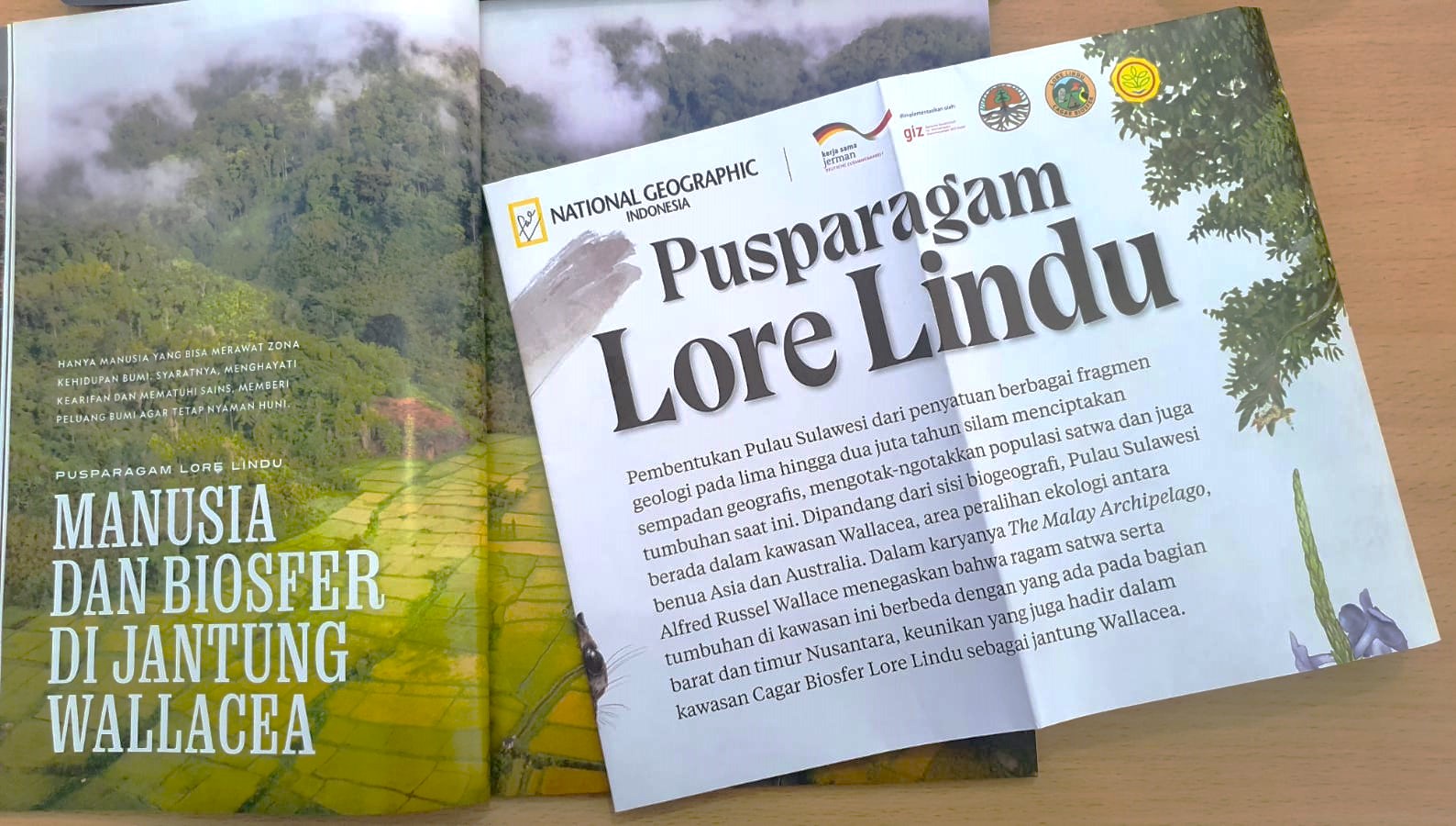 Tahun 1977 MAB UNESCO luncurkan Cagar Biosfer Lore Lindu