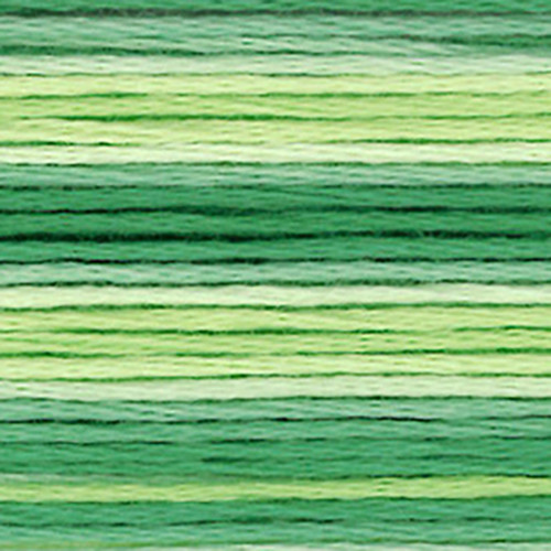 Cosmo Seasons Variegated Embroidery Floss 8012 | The Sewing Stable