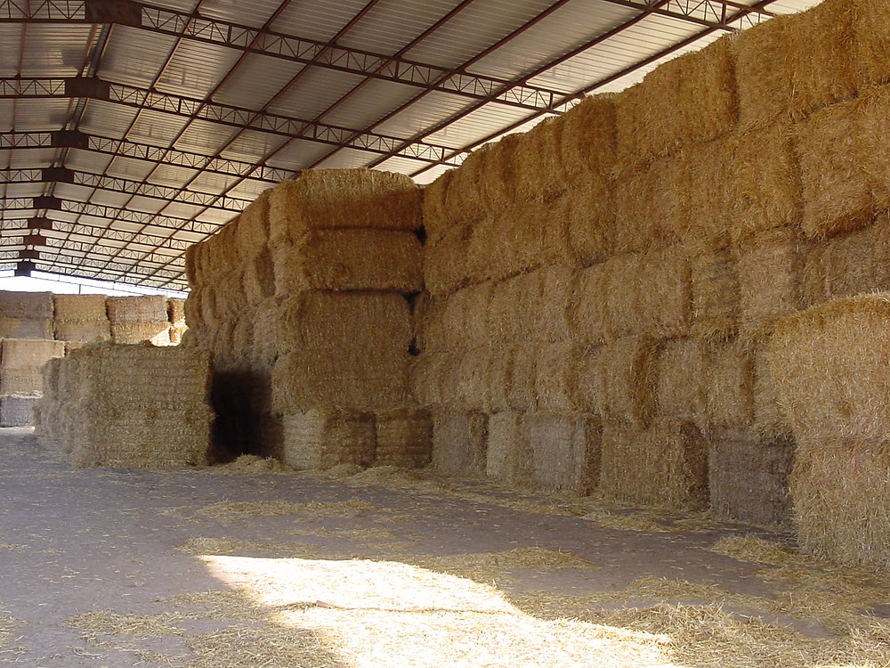Hay is for Horses, Straw is for Buildings