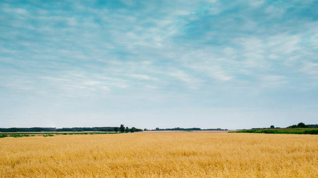 Agriboard™ History - The Last 20 Years